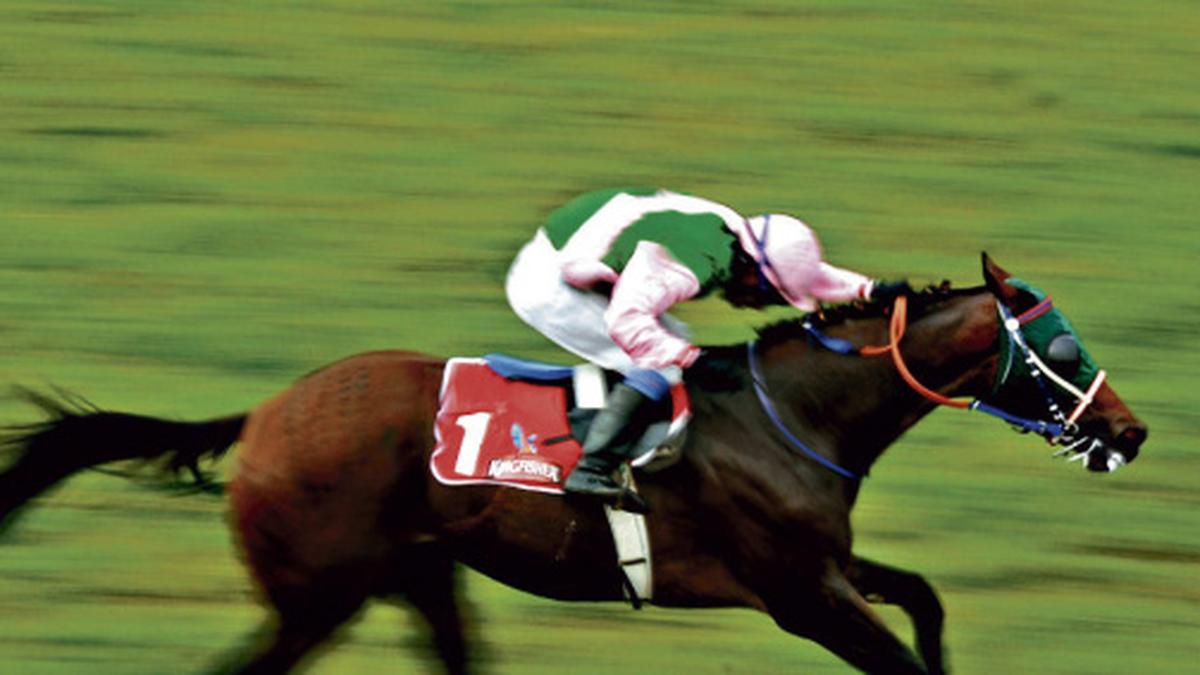 Bangalore Turf Club now under RTI - The Hindu