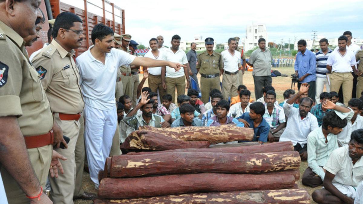 Red sanders smuggling foiled - The Hindu