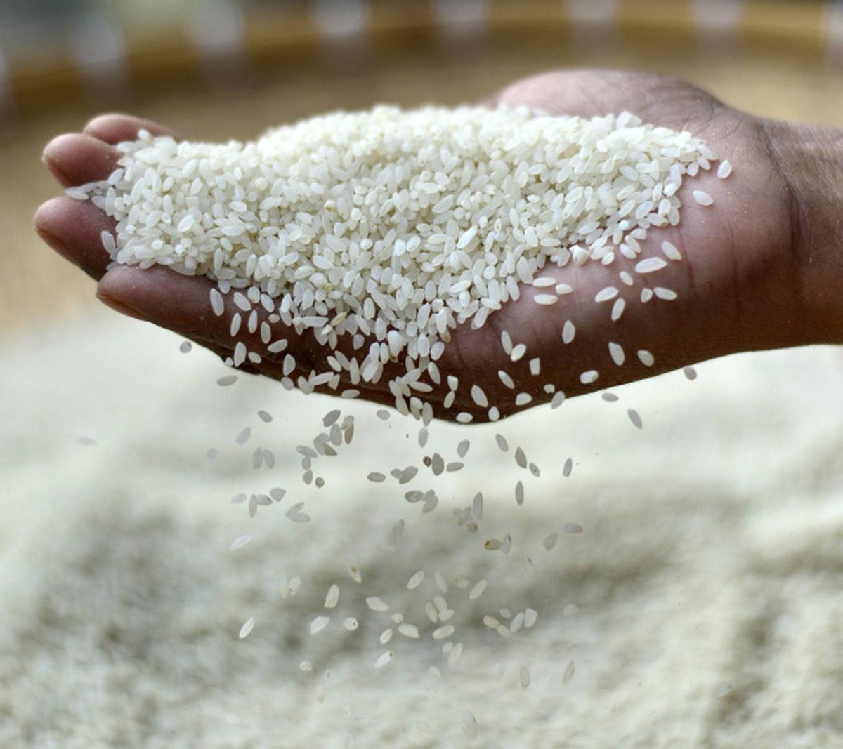 Congress honing food security scheme sales pitch - The Hindu