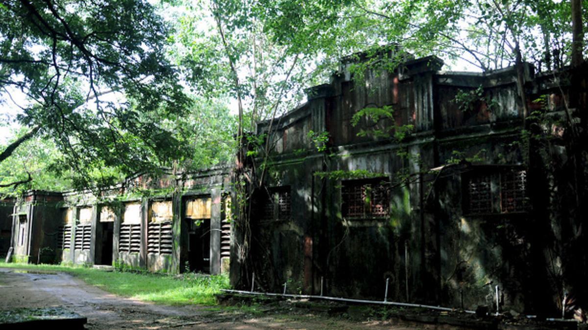 Decrepit TB hospital gasping for upkeep - The Hindu