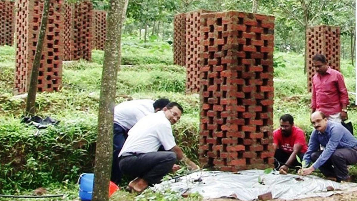 Young farmer with a new project - The Hindu