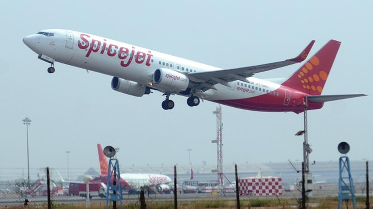SpiceJet shares surge nearly 8% on bourses - The Hindu