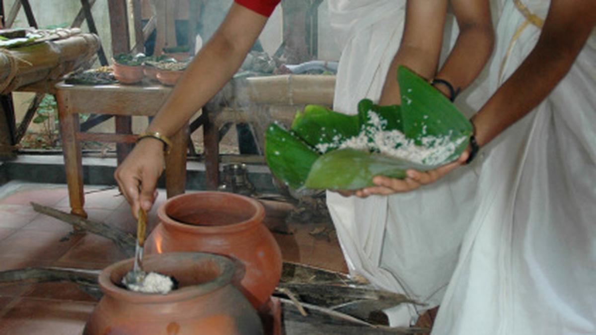 Potion that peps one up when it pours - The Hindu