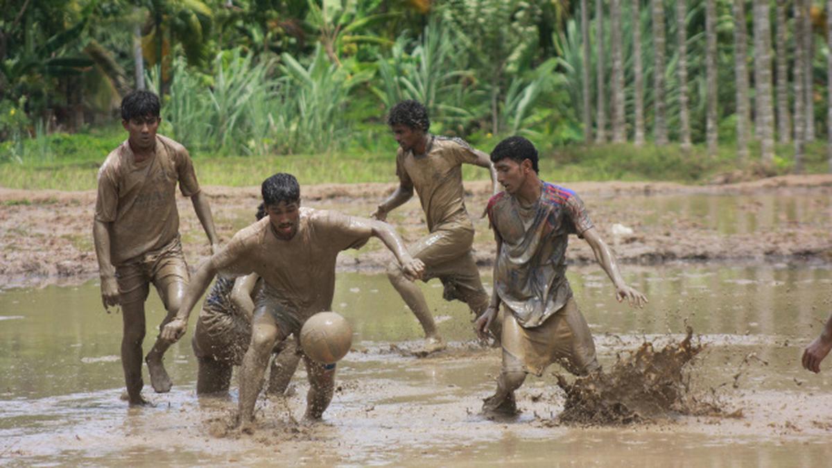 Wayanad splash - The Hindu