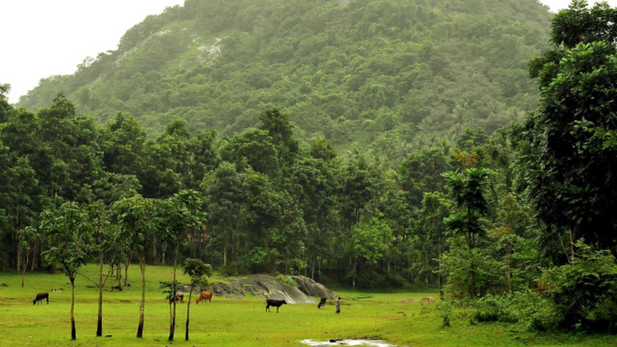 Kakkayam is dealt a difficult hand - The Hindu