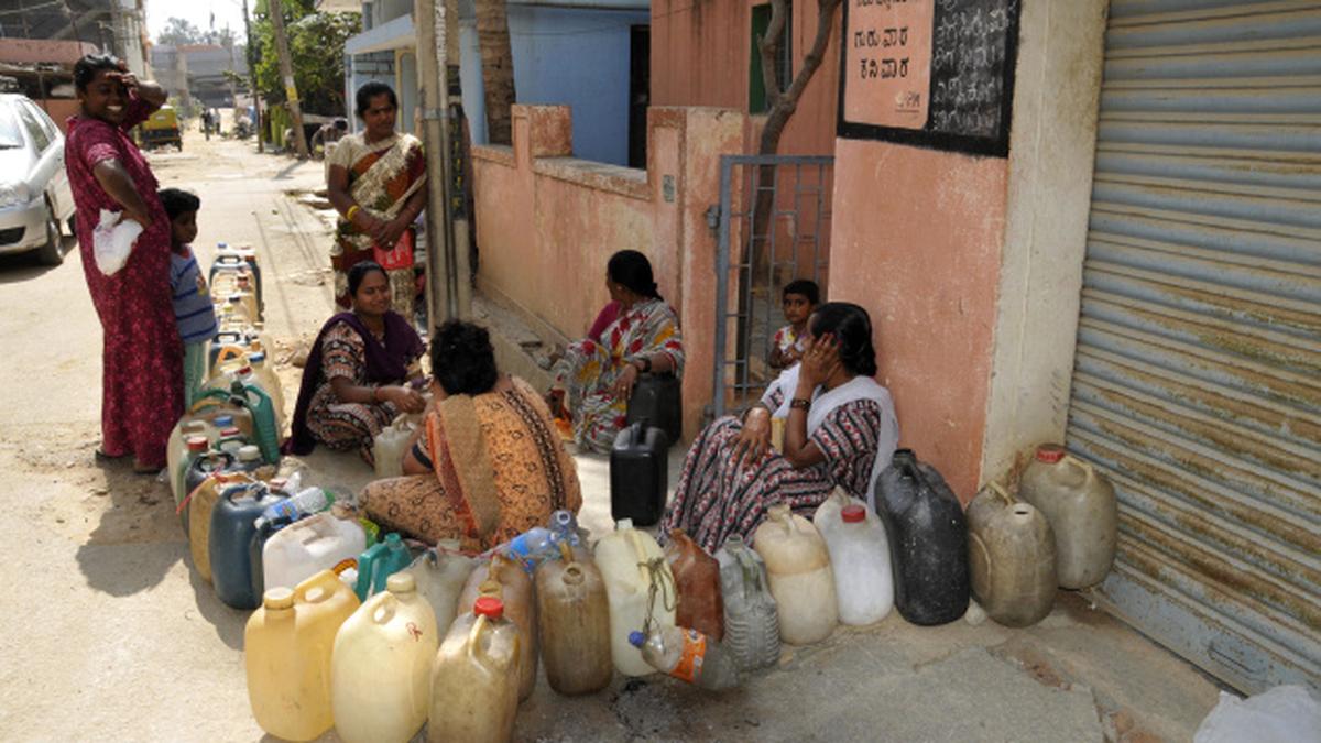 New PDS outlets in State to meet rising demand - The Hindu