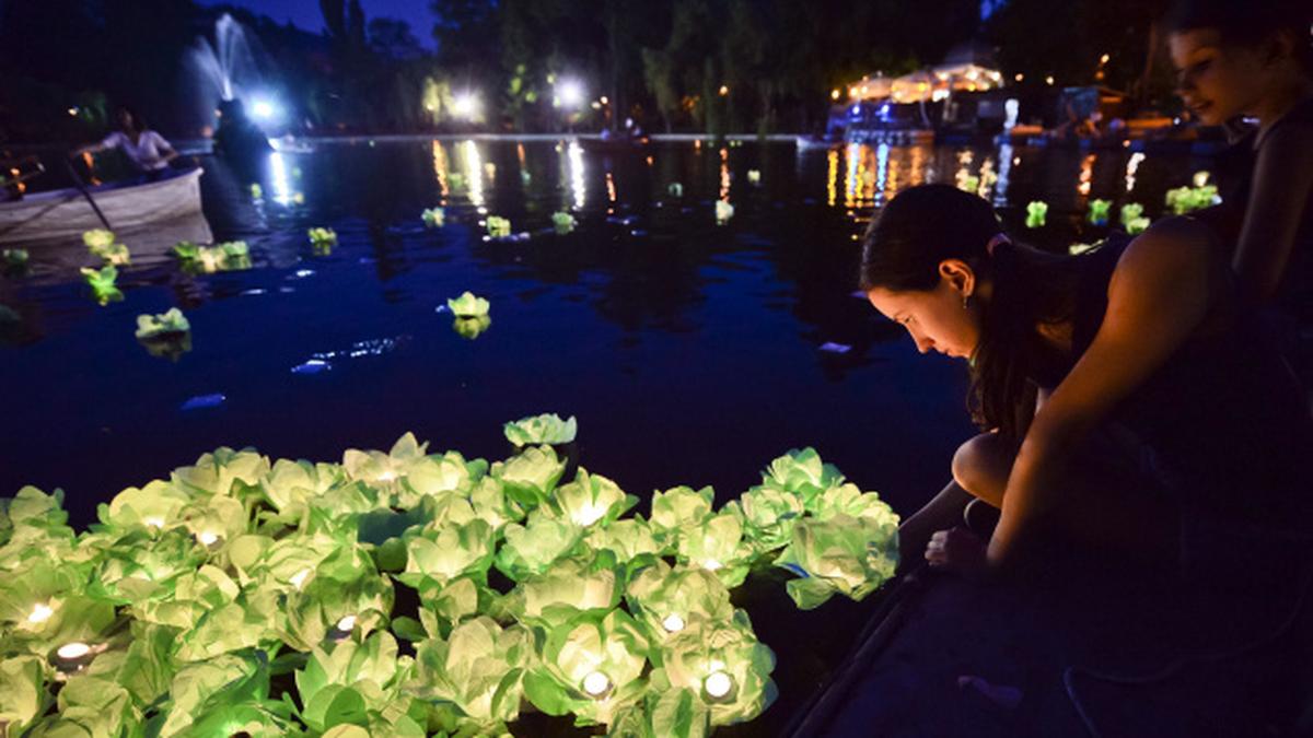 Day in pictures - The Hindu