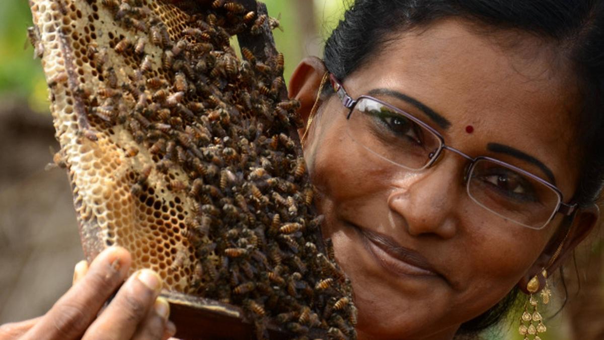 Buzzing with energy - The Hindu