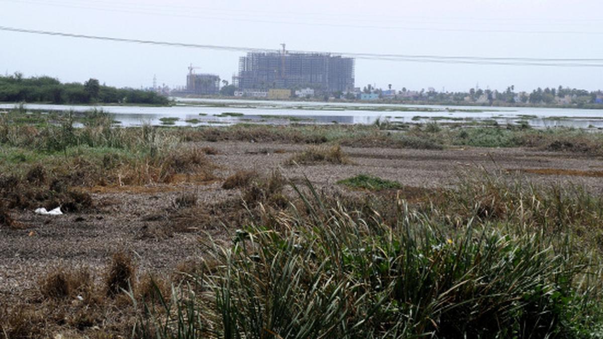 Residents to have hand in beautification of Korattur lake - The Hindu
