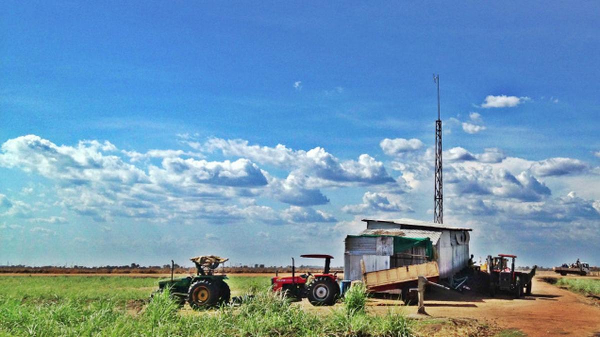 Karuturi debacle prompts Ethiopia to review land policy - The Hindu