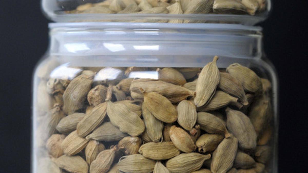 Scent of cardamom - The Hindu