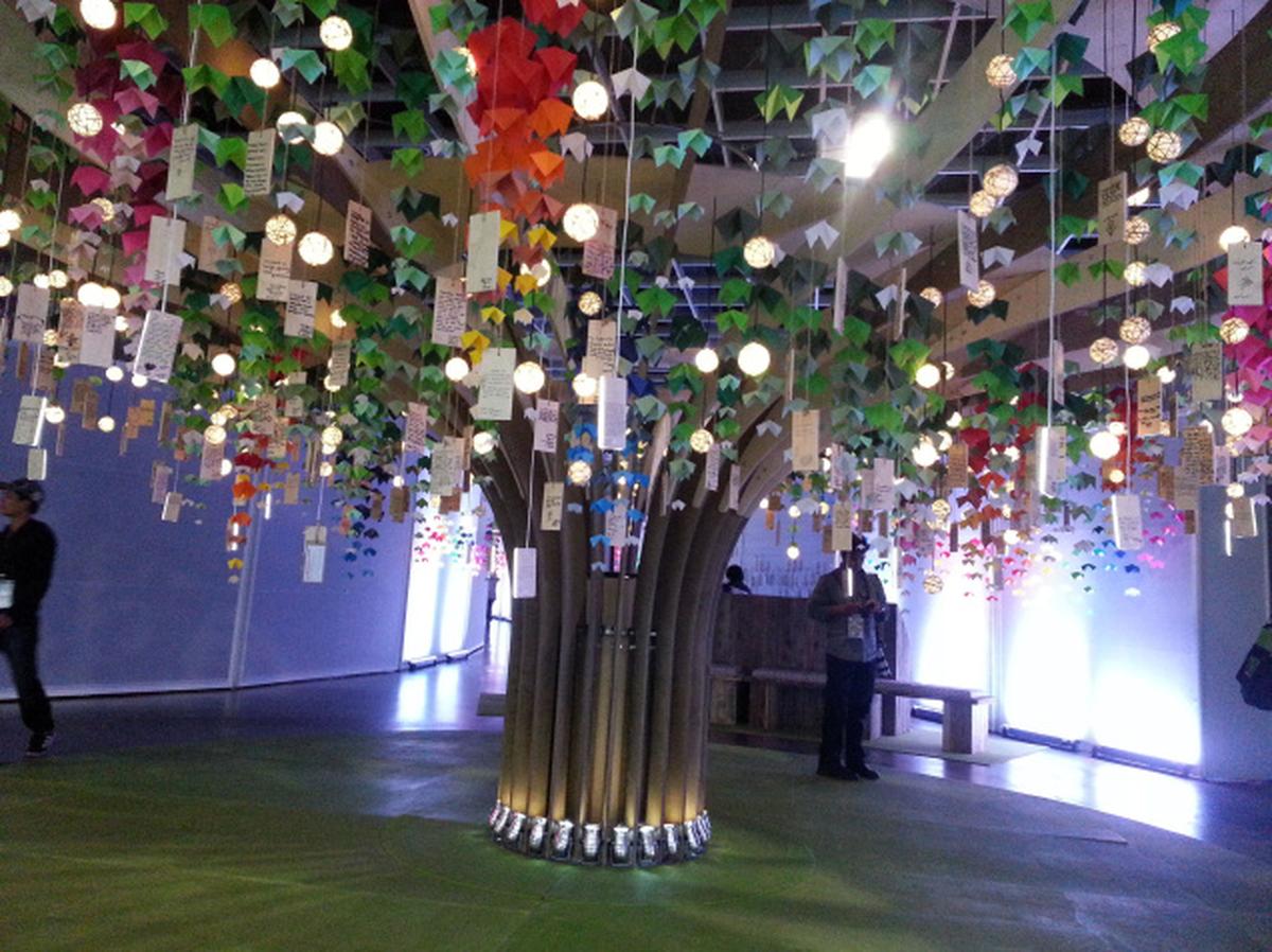 Nurturing the Girl Tree and hopes - The Hindu