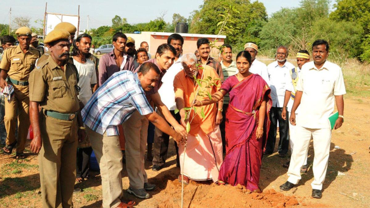 Sponsor a tree on your birthday - The Hindu