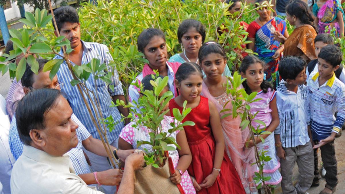 Andhra University Rector calls for energy conservation - The Hindu