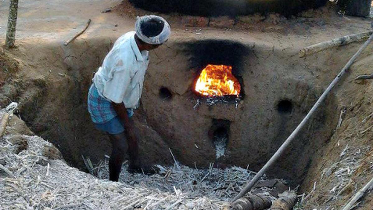 Proposal on ‘joni bella’ awaits government’s nod - The Hindu