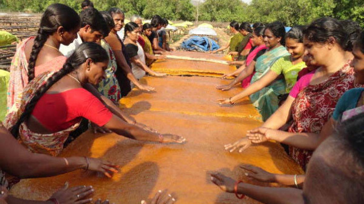 Sweet endeavour for SHG women - The Hindu