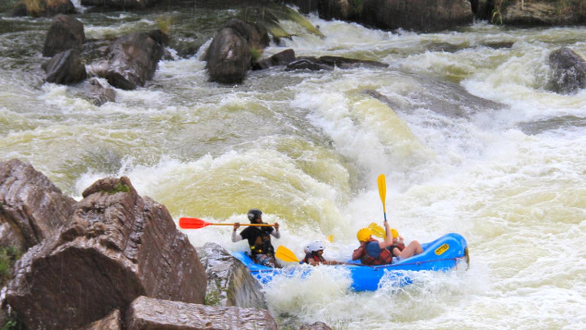 The bridge on River Kelani - The Hindu
