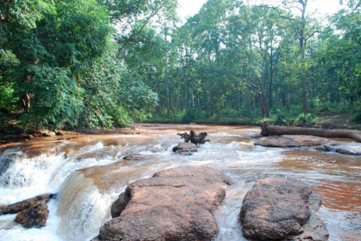 The red story of Saranda forests - The Hindu