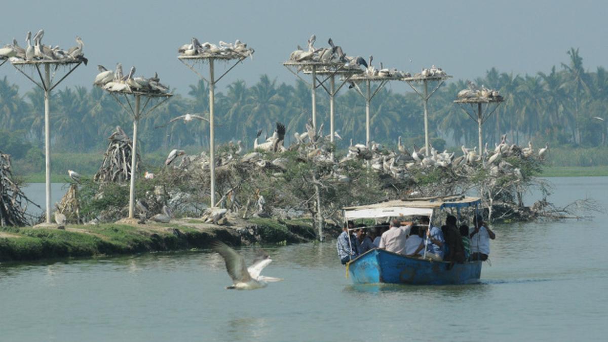 GoM to decide fate of land in Kolleru sanctuary today - The Hindu