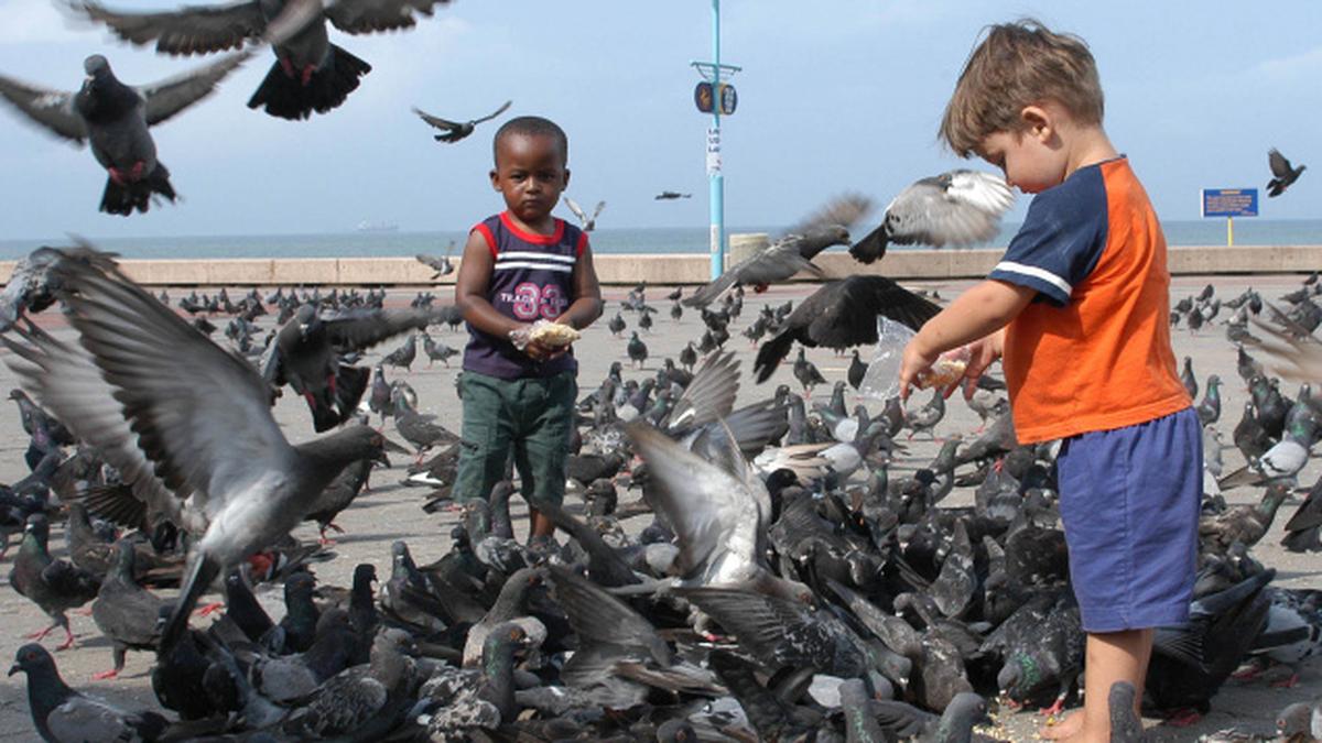 50 triumphant years of multiracial school - The Hindu