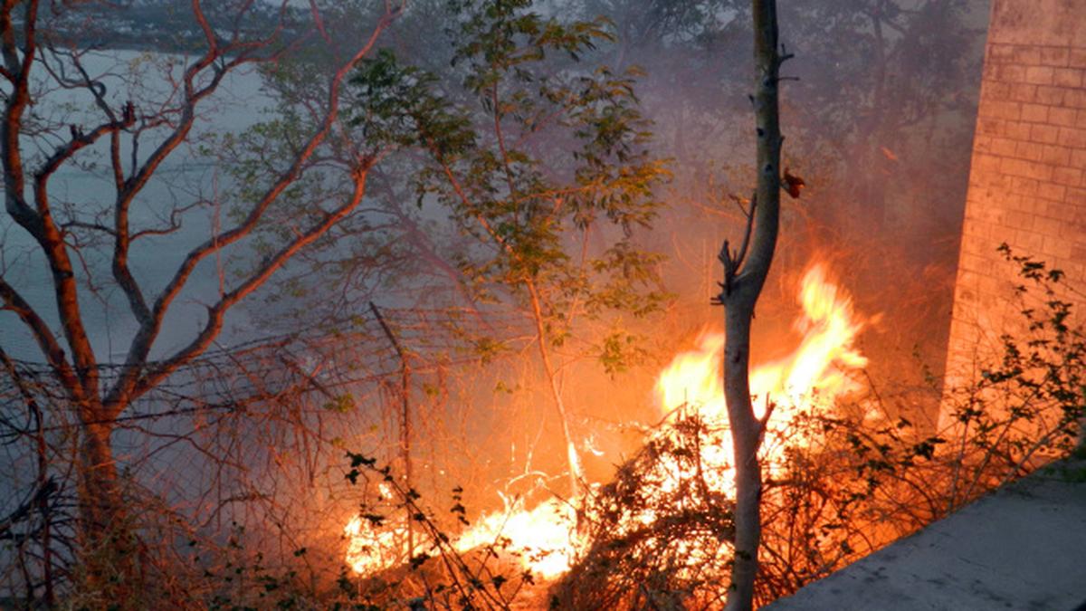 Fire near Union Carbide guest house - The Hindu