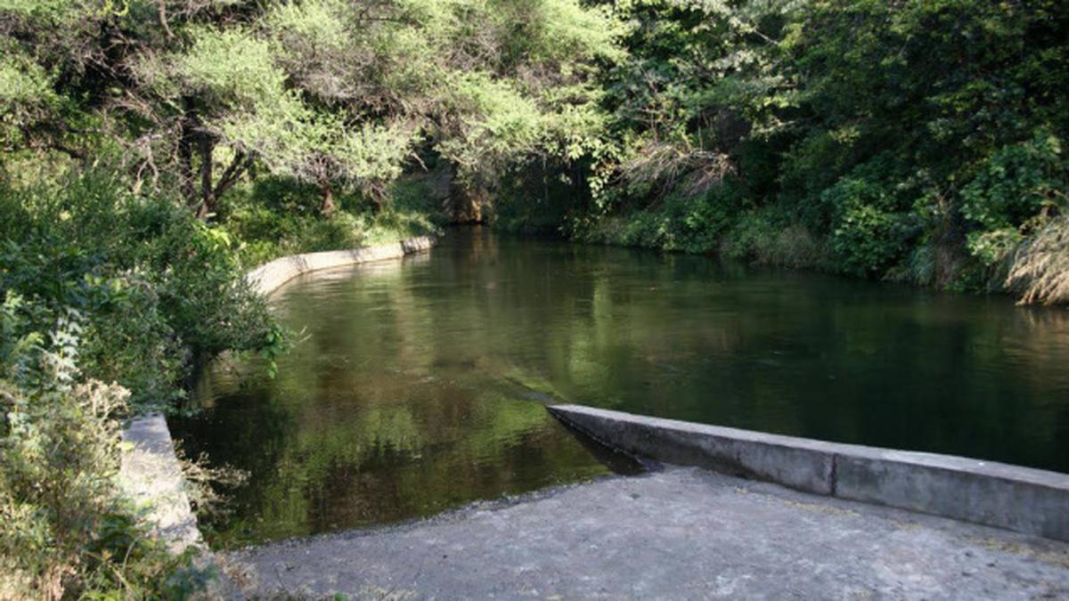 Contour canal for Parambikulam project turns death trap for wildlife in ...