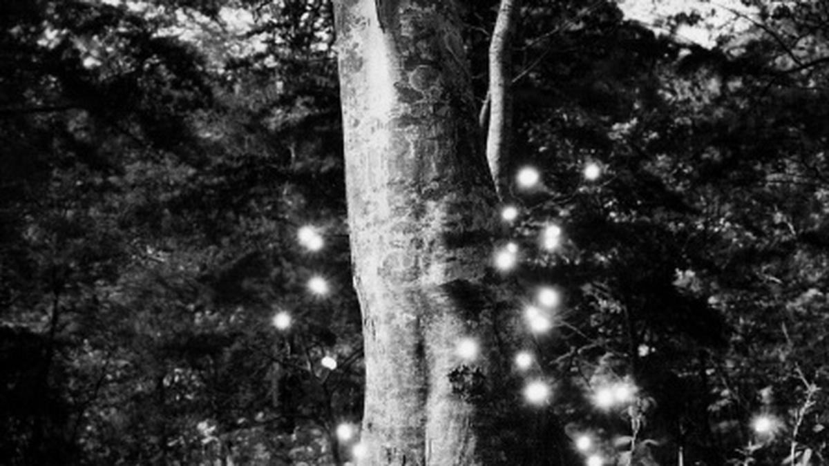 The guiding light - The Hindu