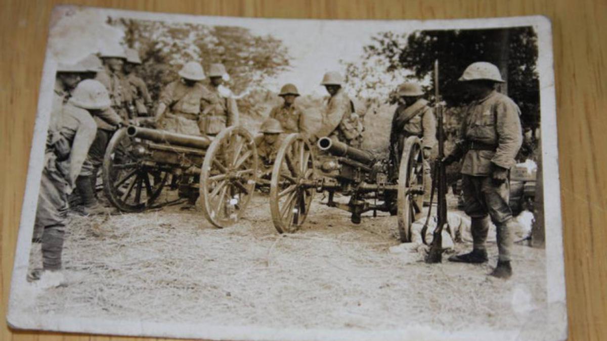 That battle under the cherry tree - The Hindu