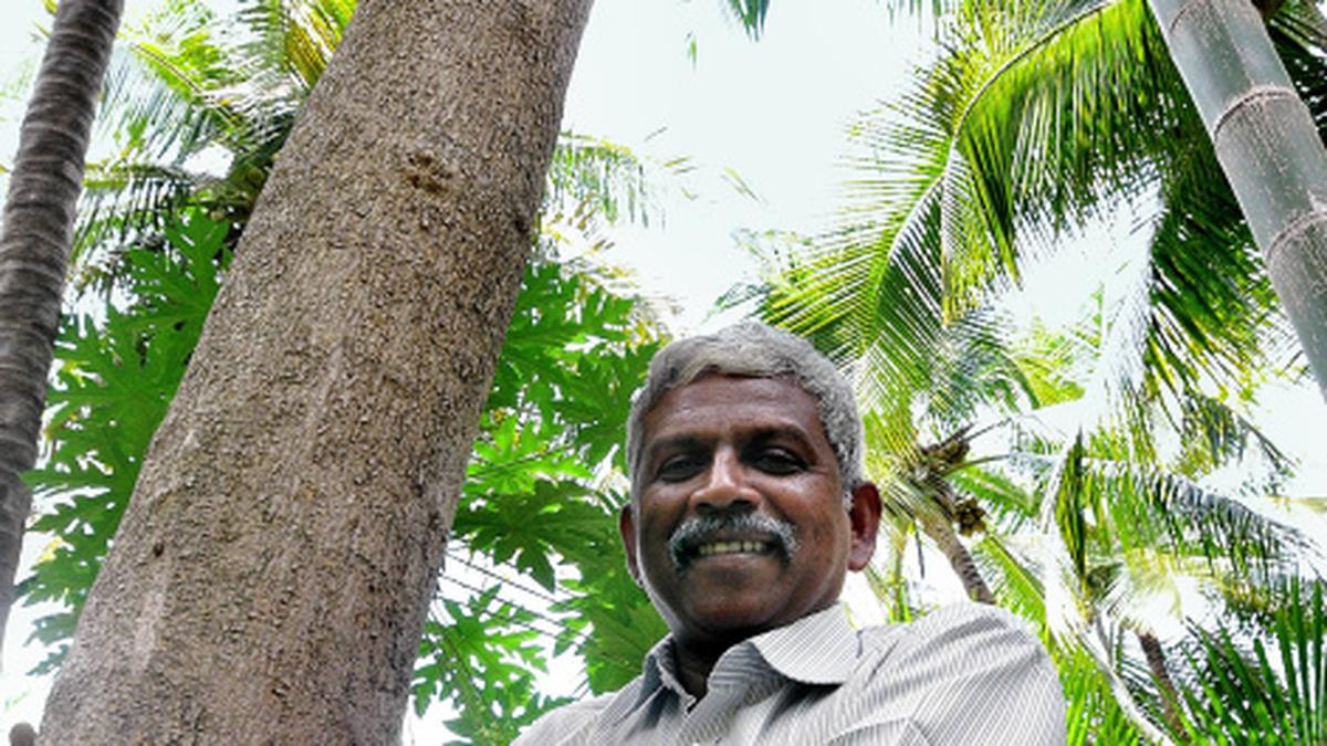 The Tree Hugger - The Hindu