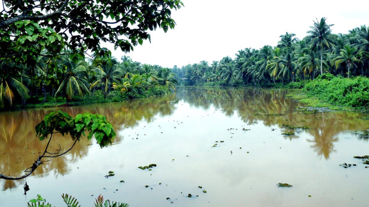 Tales that a river tells - The Hindu