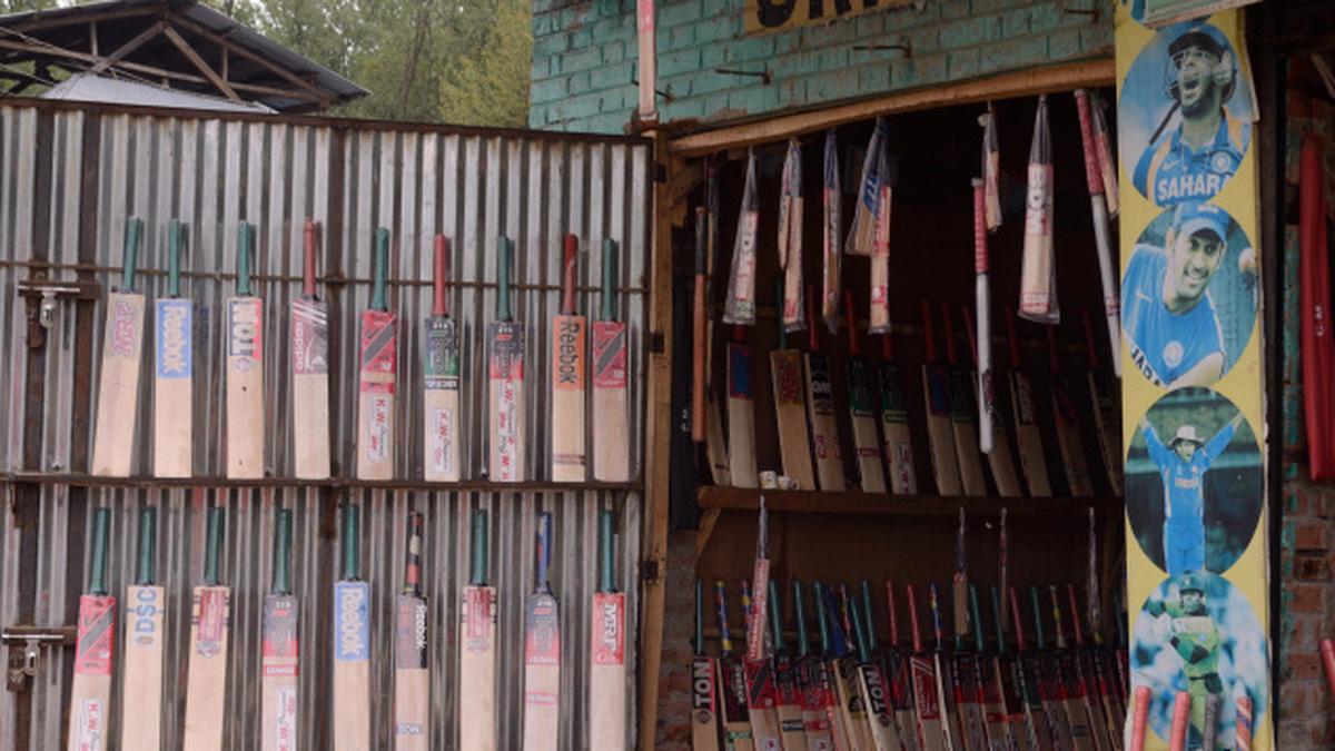 Willow power - The Hindu