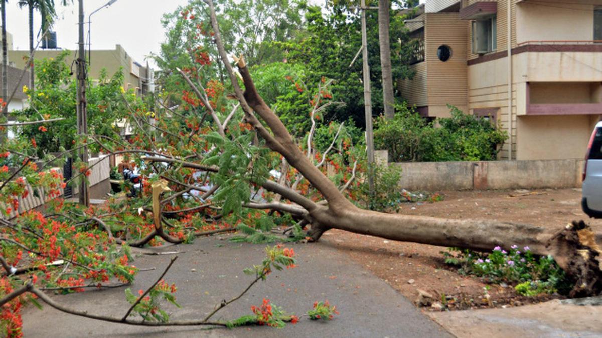 Strong winds uproot trees in twin cities - The Hindu