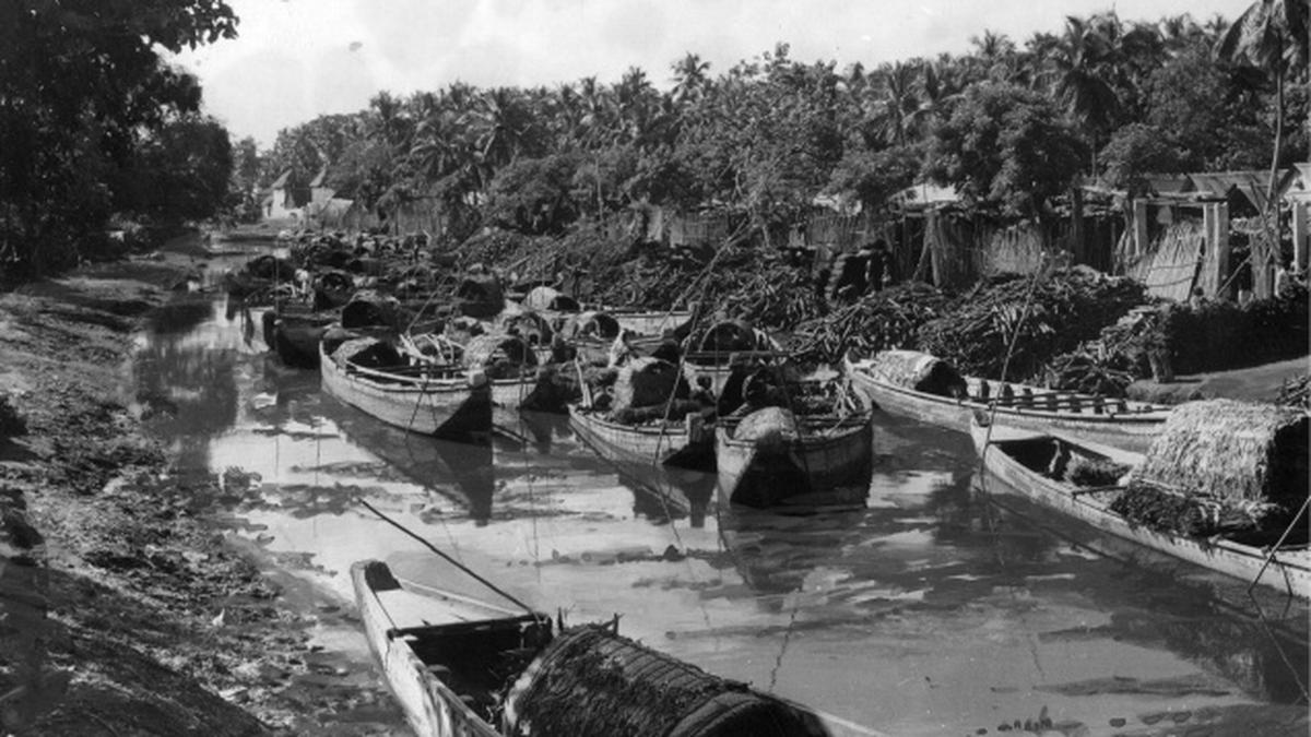 Down the drain - The Hindu