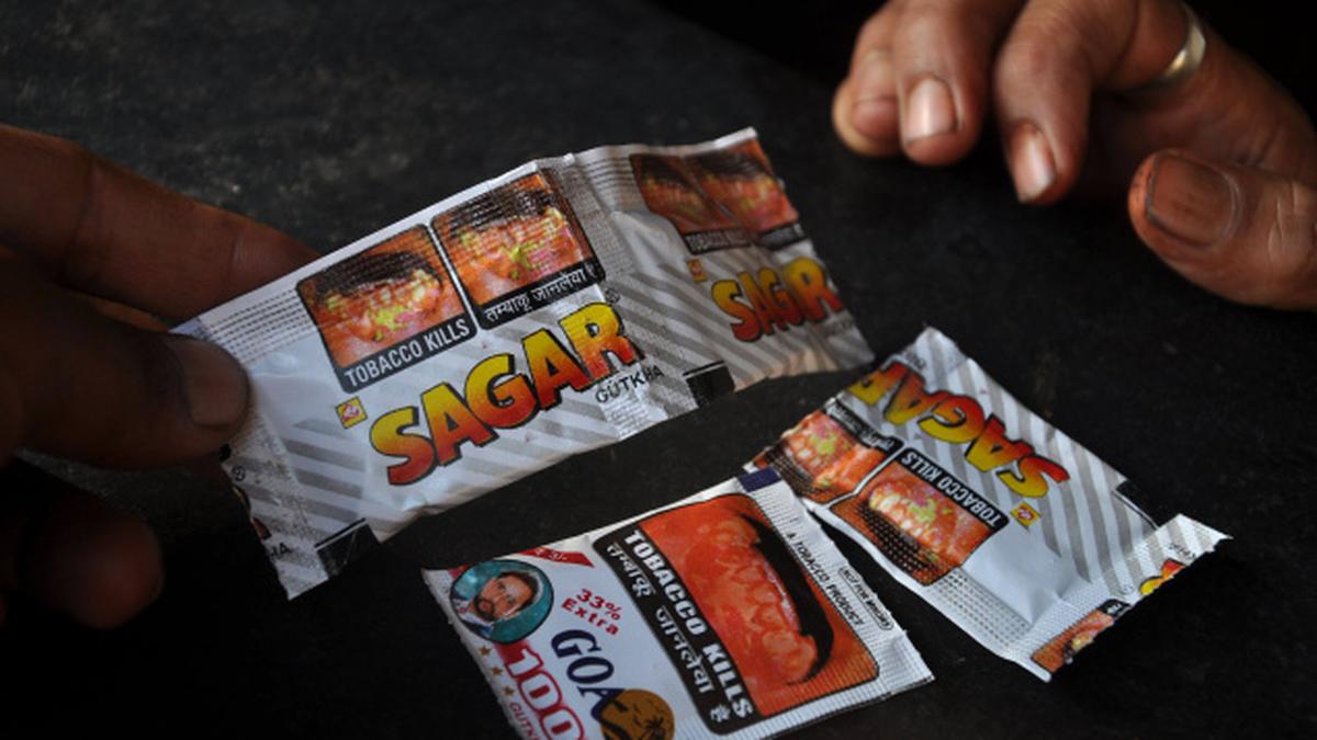 Ban on gutka goes for a toss - The Hindu