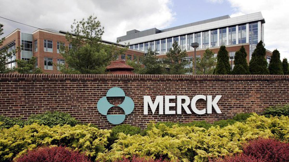 Patent row: HC refuses interim relief to Merck - The Hindu