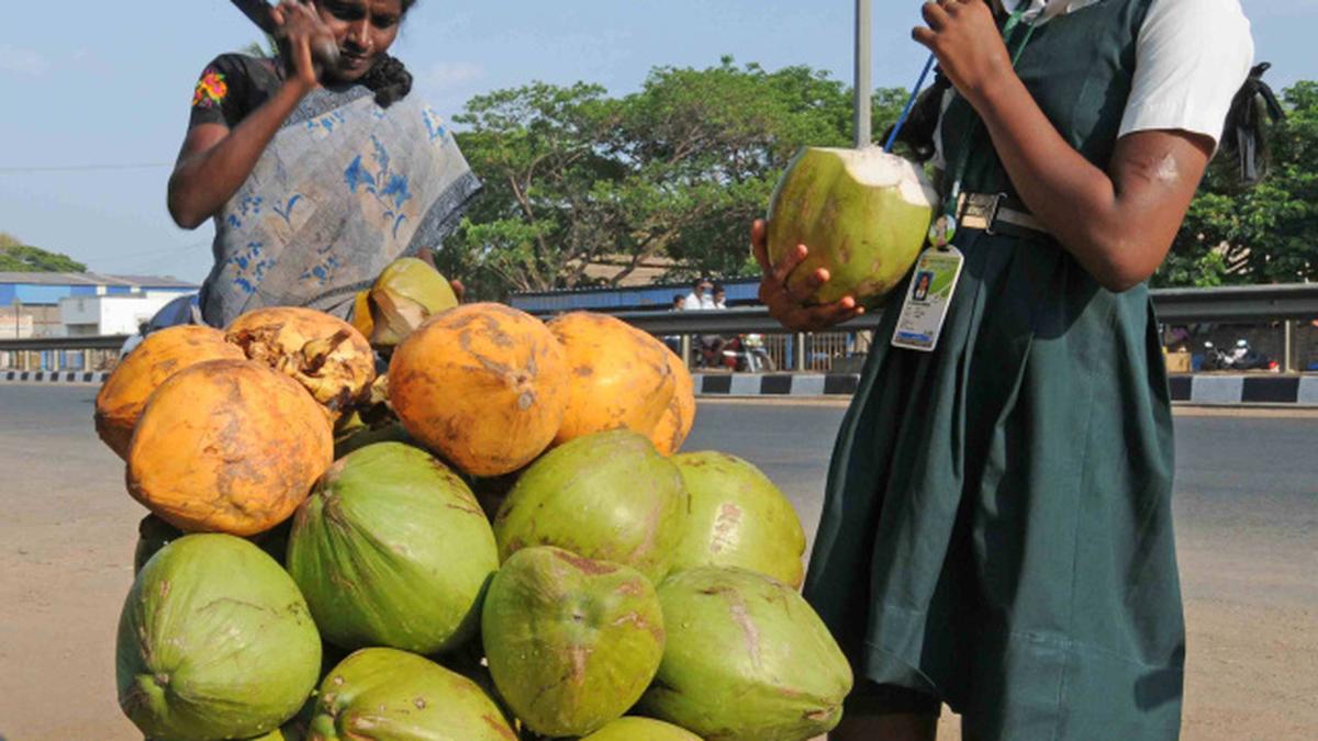 Tiruchi sizzles at 40 degrees Celsius - The Hindu