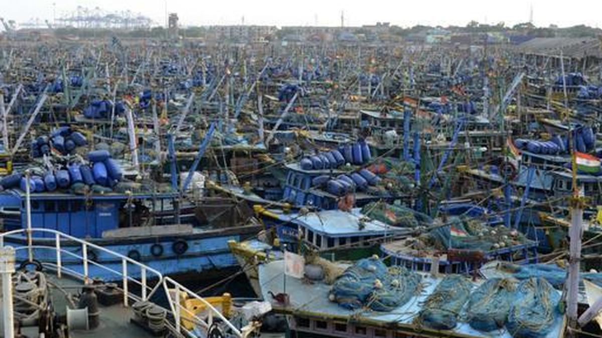 Rs. 75-crore makeover for Kasimedu harbour - The Hindu