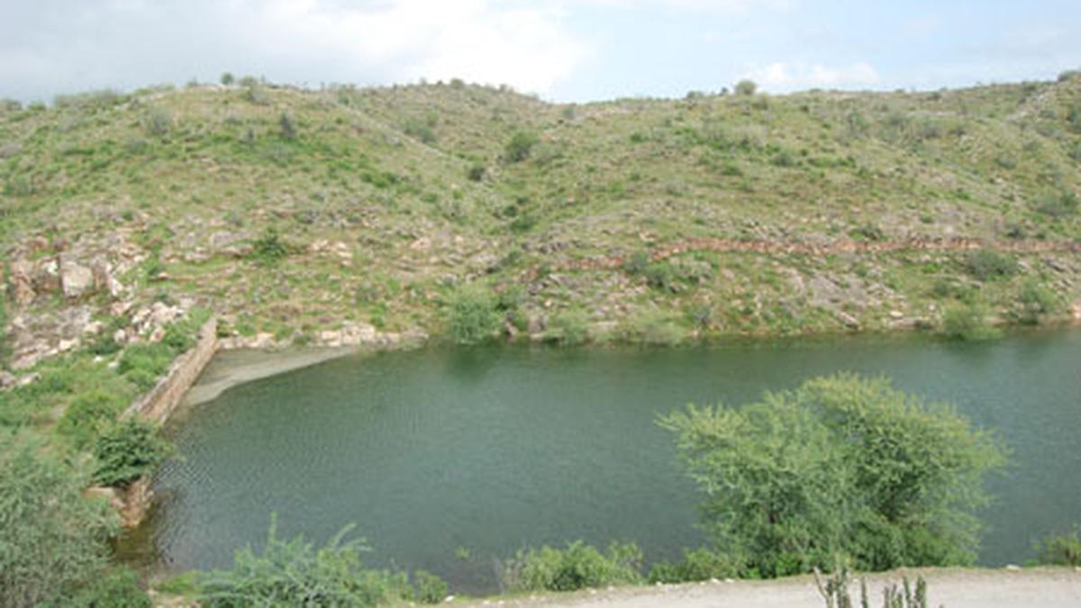 A village that plants 111 trees for every girl born in Rajasthan - The ...