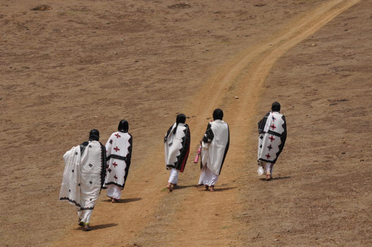 Photofile: Exquisite... expensive... - The Hindu