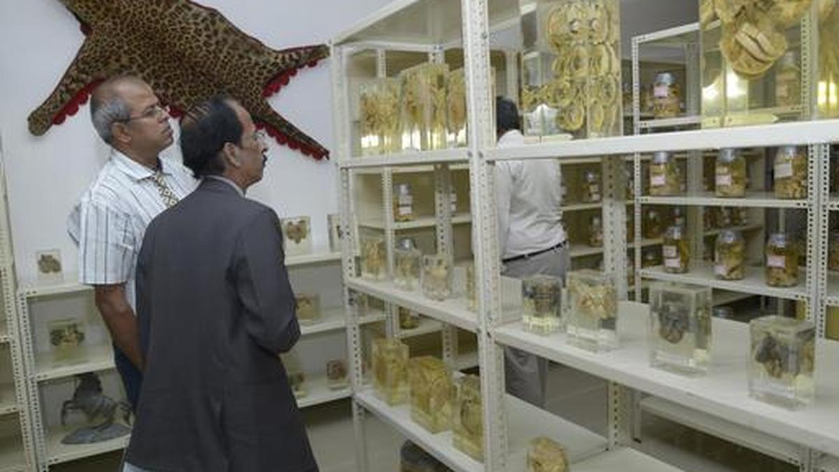 Museum in Gummidipoondi offers a 'hearty' welcome to visitors - The Hindu