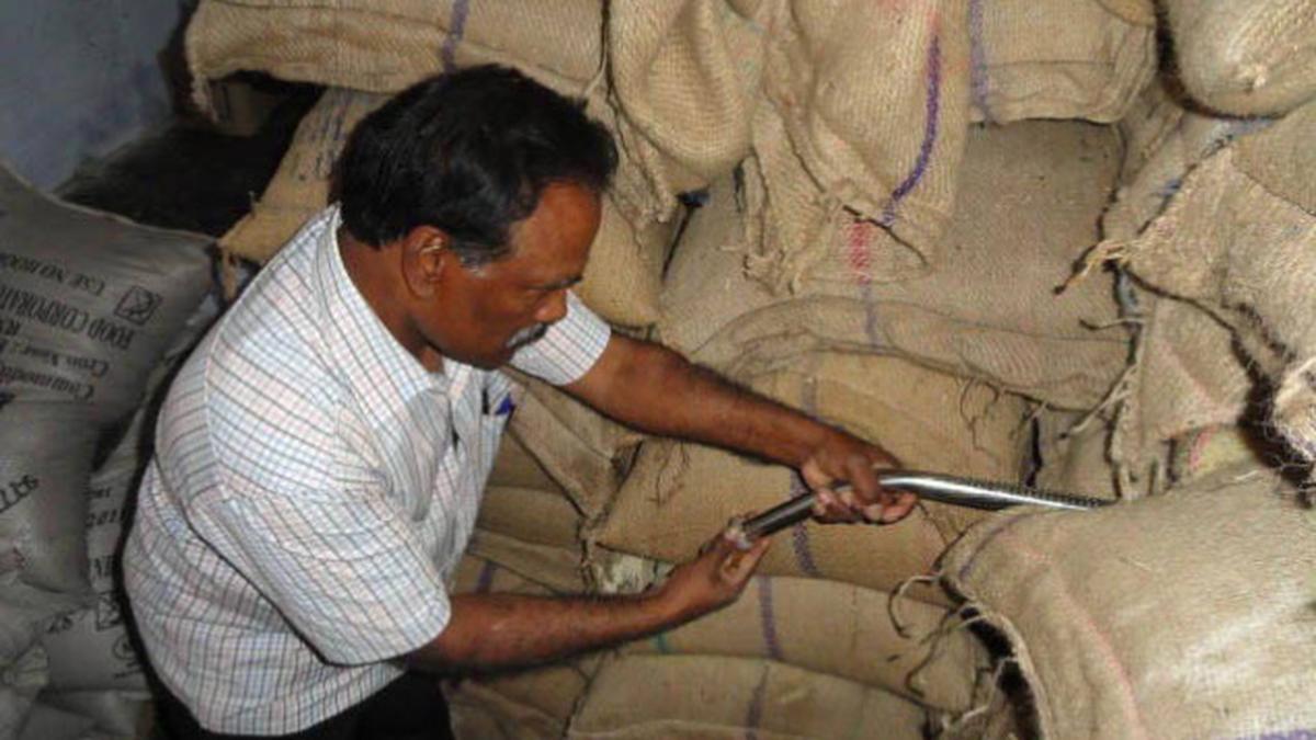 TNAU commercialises device that detects pests in stored grains - The Hindu