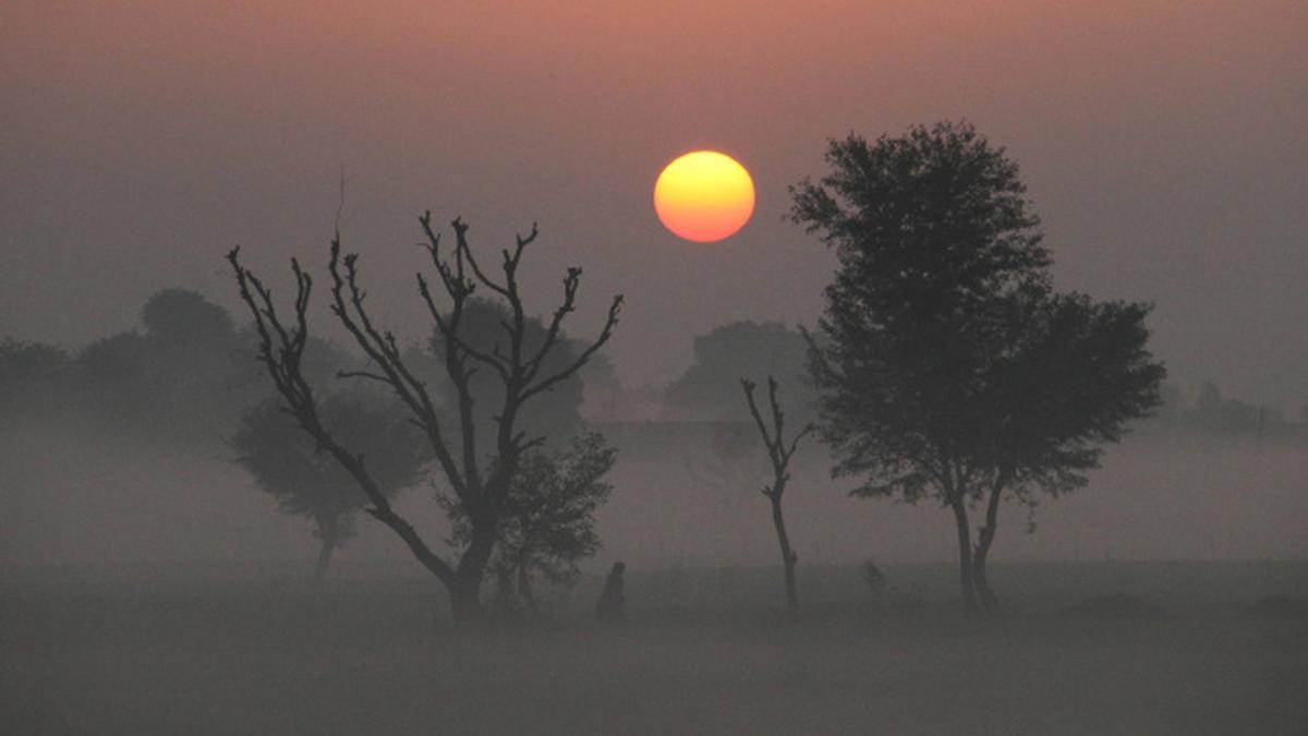 North India shivers in extreme cold - The Hindu