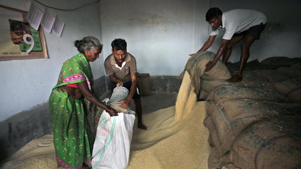 SEWA model shows cash transfers work - The Hindu