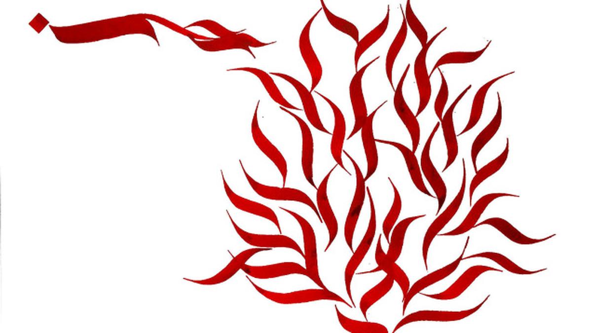 Calligraphy chronicles - The Hindu