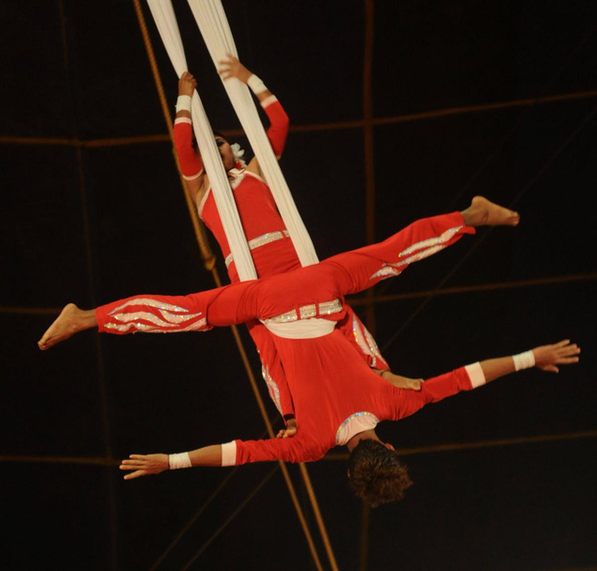 The circus comes to town - The Hindu