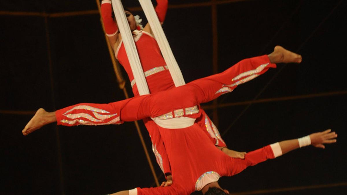 The circus comes to town - The Hindu