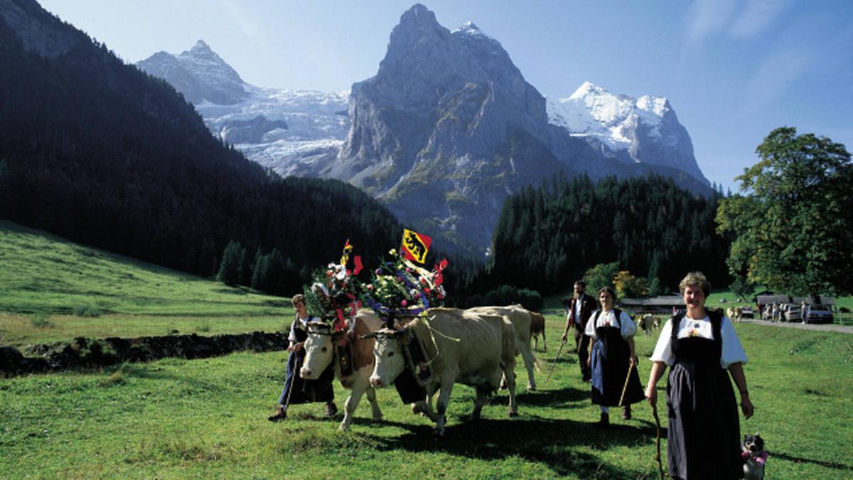 Now, you can make cheese or a watch in Switzerland - The Hindu