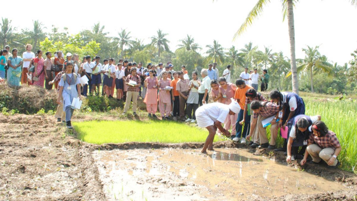 A peek at farming - The Hindu