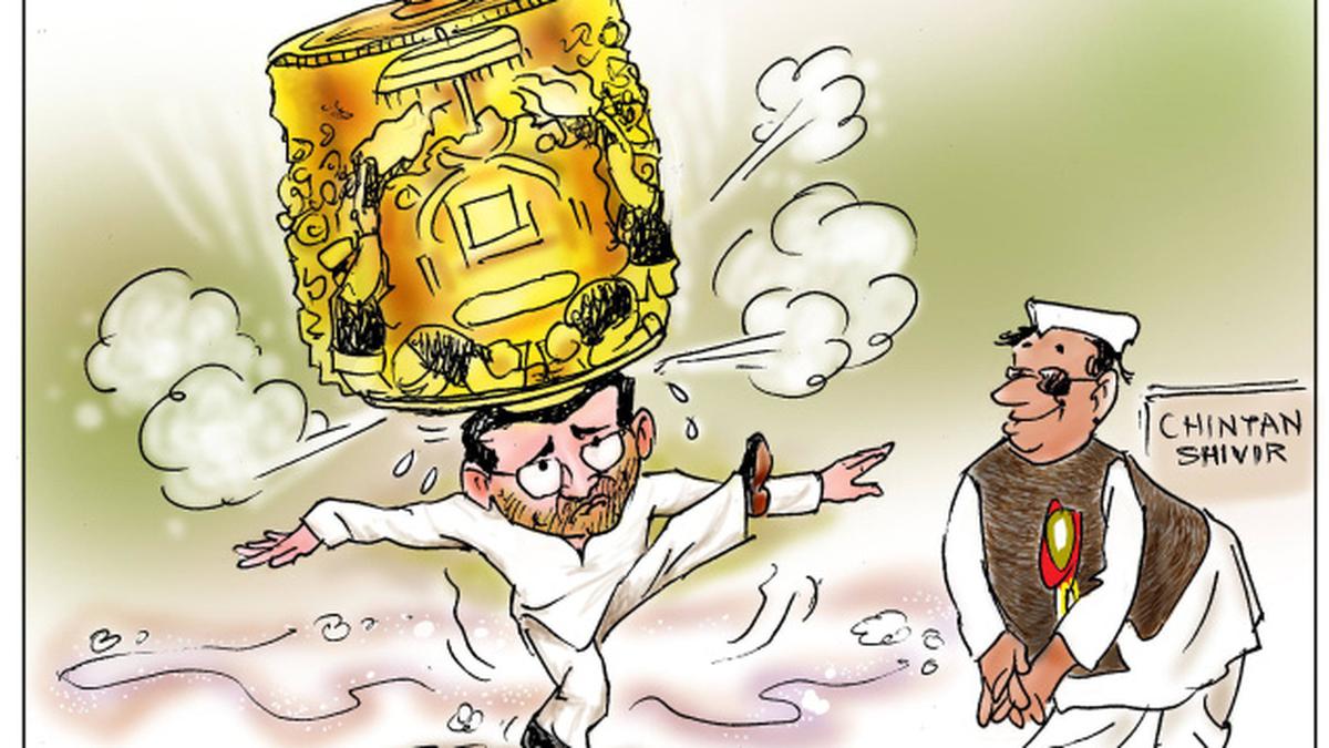 Cartoonscape, January 21, 2013 - The Hindu