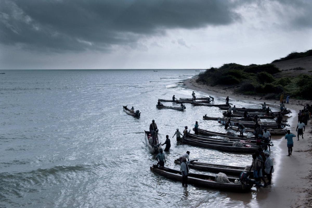 Look what's brewing - The Hindu